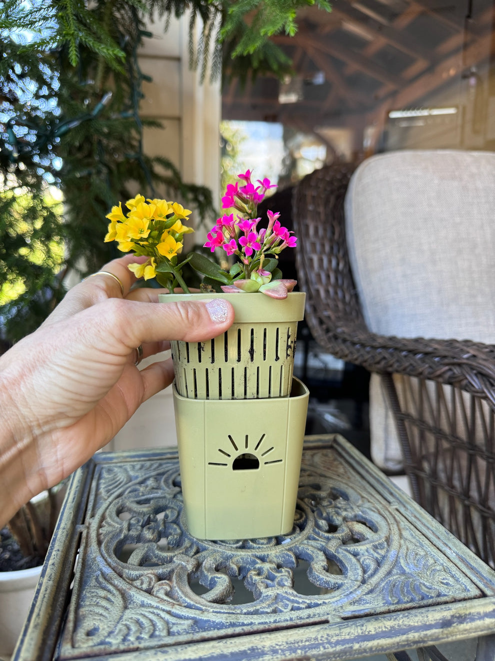 3-Inch "Breathing" Planter – Naked Root