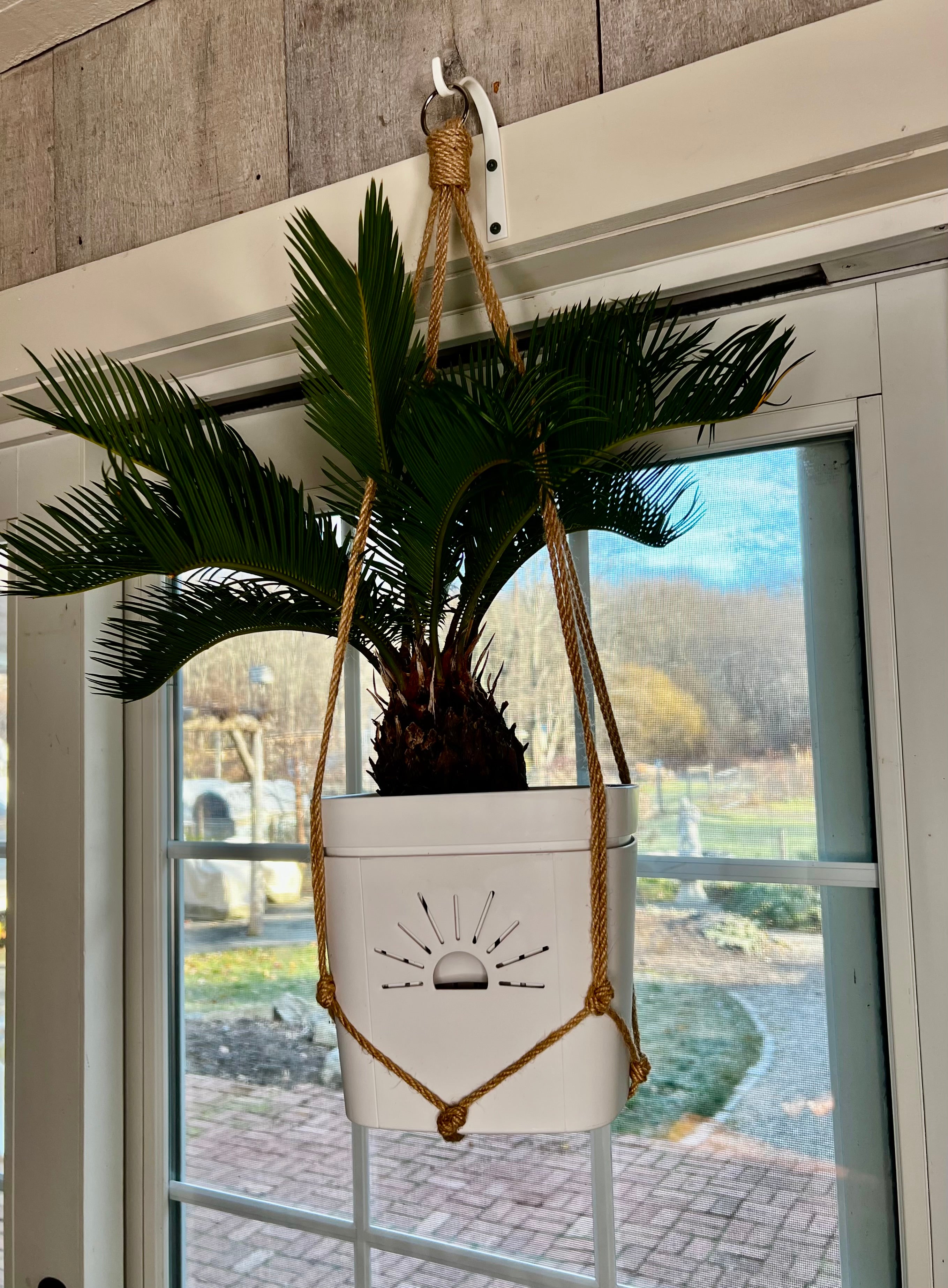 Your Shopping Cart – Naked Root