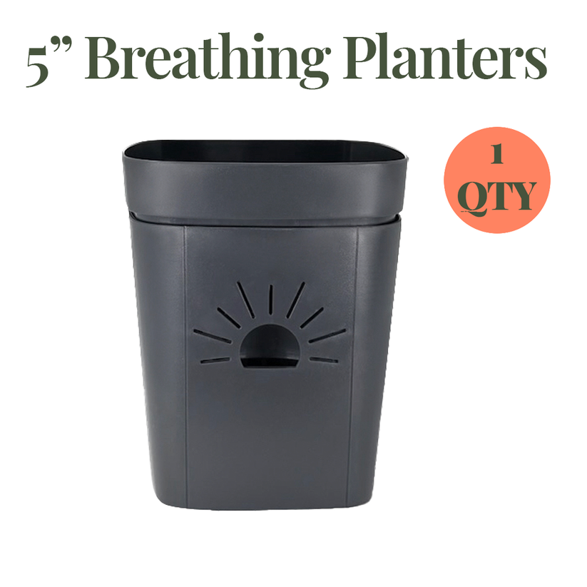 5-Inch "Breathing" Planter – Naked Root