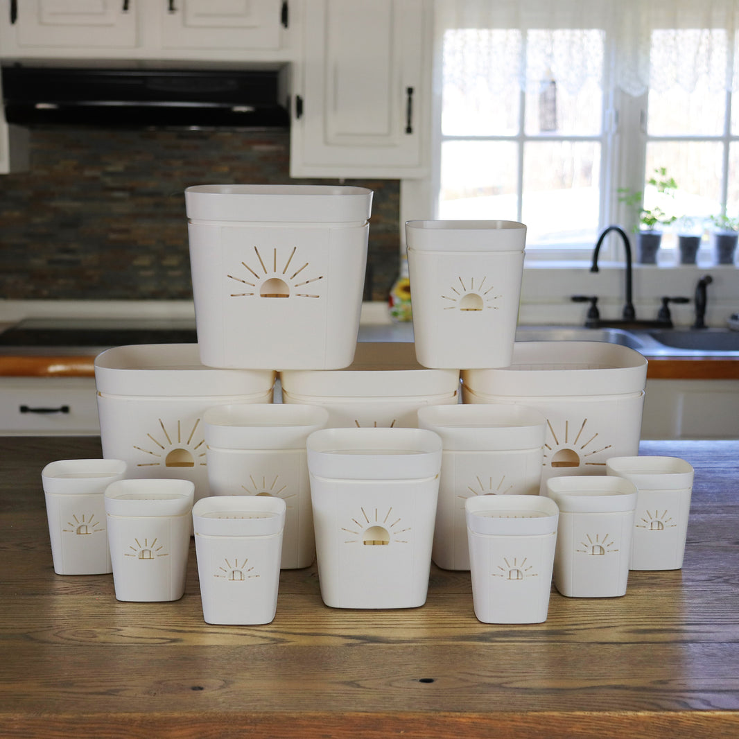 Planter – Naked Root