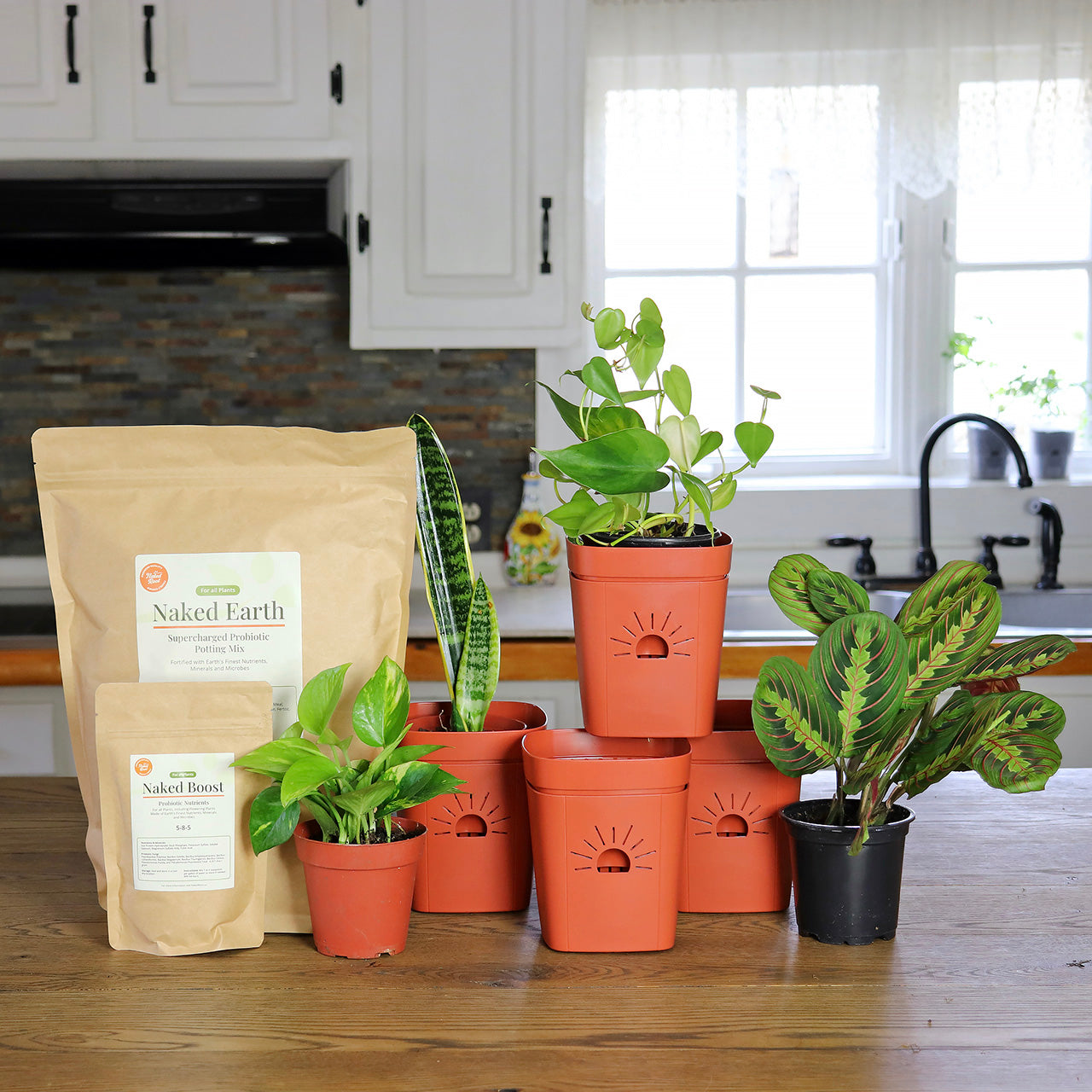 Planters – Naked Root