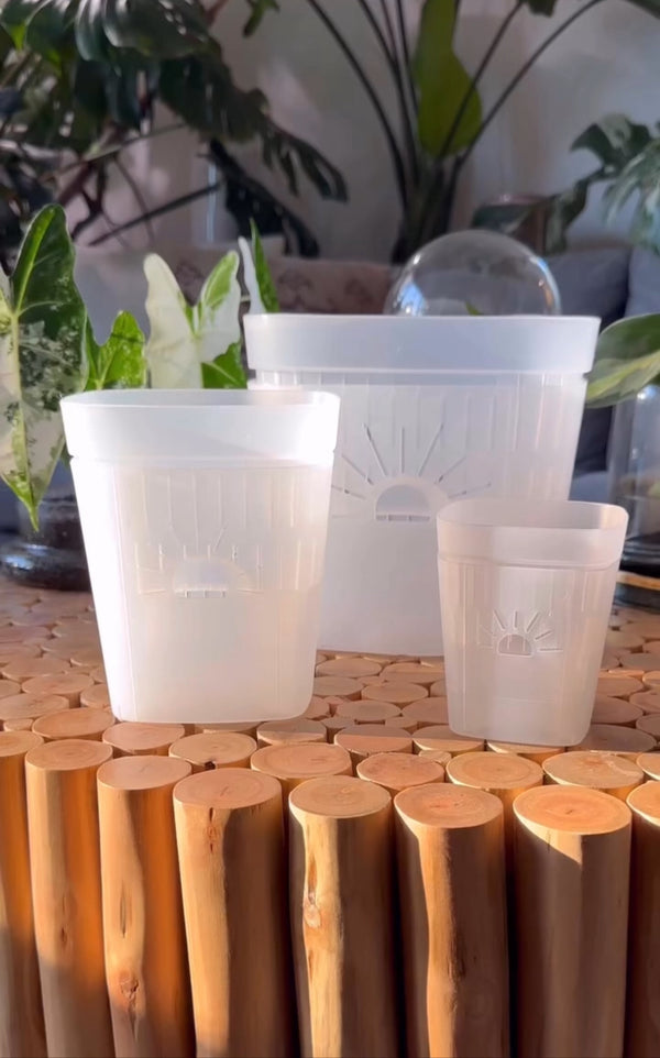 8" Air Root Pruning Planter - Self Watering – Naked Root